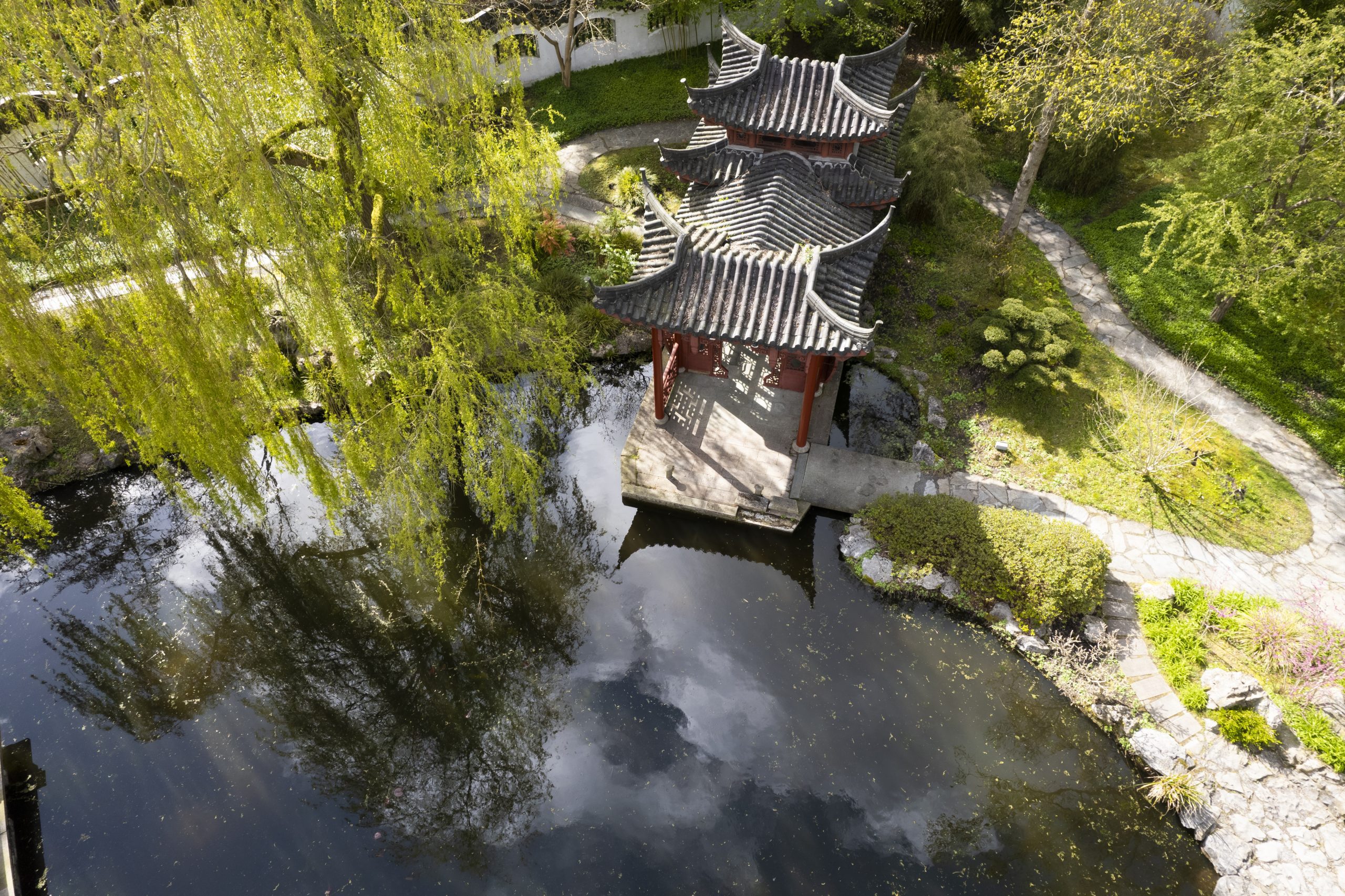 Open Dag Hortus Haren: leren, beleven, verwonderen en meedenken – DK Nieuws