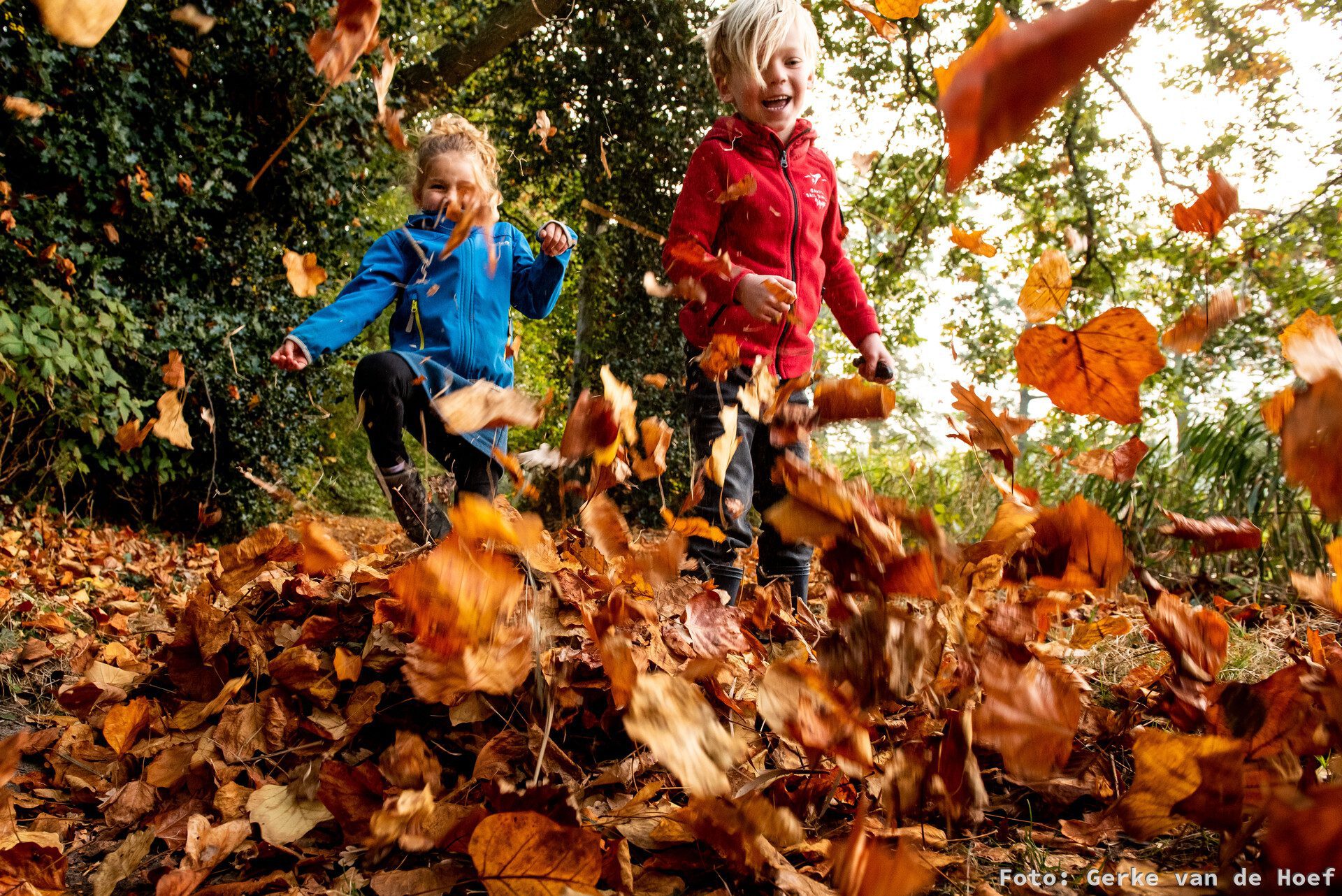 ‘De Wilde Buitendag’ in De Braak – DK Nieuws